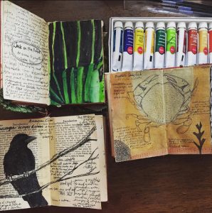 A Set of Field Journals - Bridgette Guerzon Mills