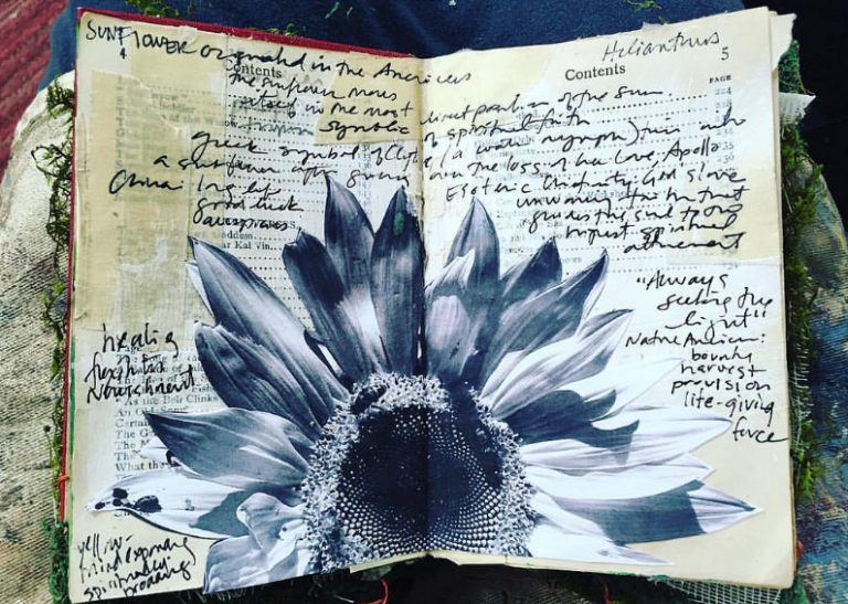 A Set of Field Journals - Bridgette Guerzon Mills